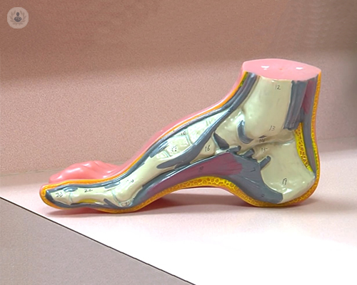 La prótesis de tobillo tiene una duración aprox. de entre 10-15 años ...